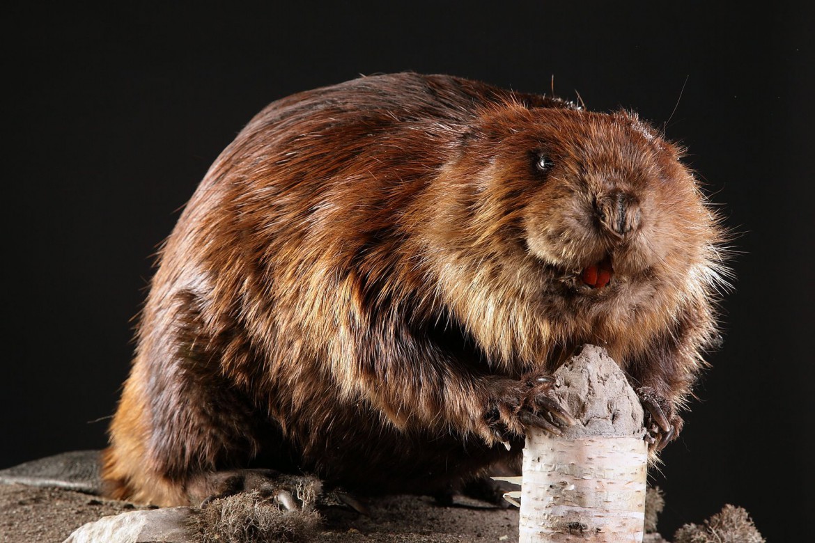 Full Archives - Masai Gallery